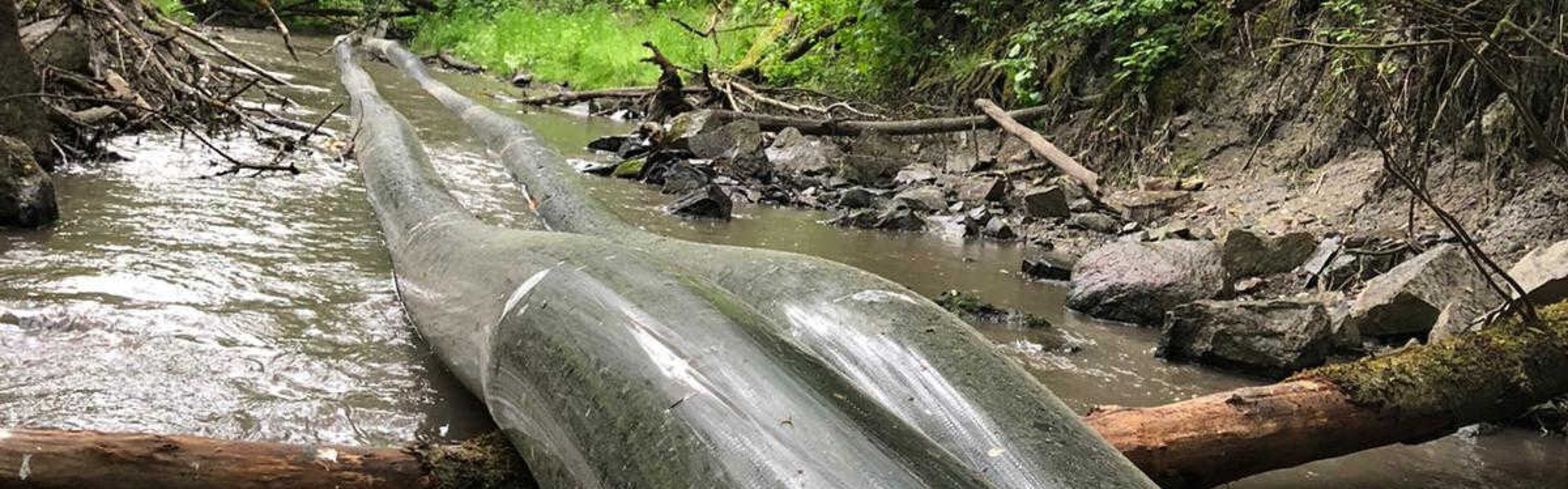 Bypass – Primus Line