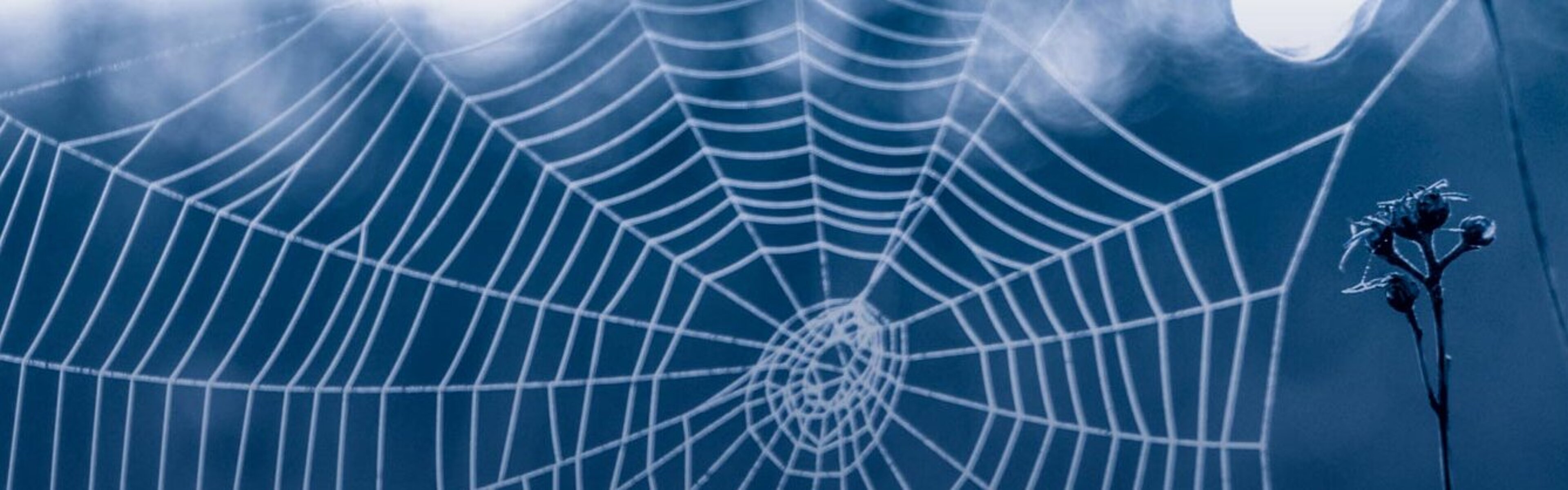 Flexible Pipe – Primus Line