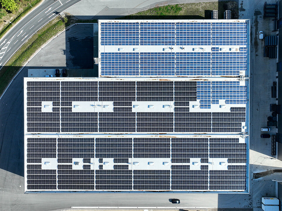 From Chammünster to the whole world: Primus Line